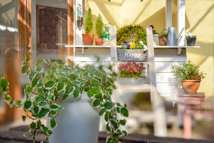 Split Field | スプリットフィールド cokin作品集｜岡 田 茂 | ケンコー・トキナー